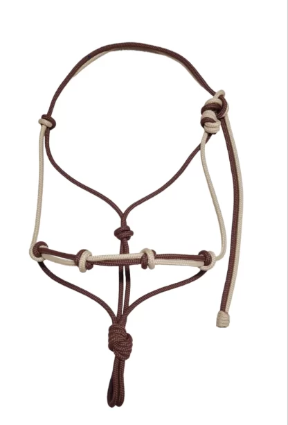 Two-tone Training Halter - Upington Saddlery